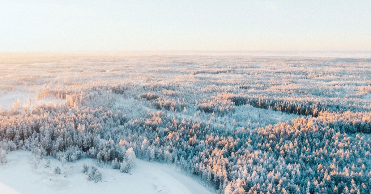 Film & Commercial Production Company Finland | Mbrella Films